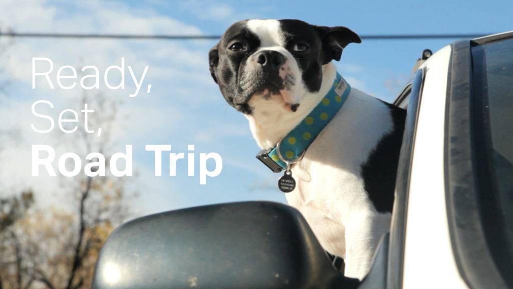 Ready, Set, Road Trip - TrueCar Blog